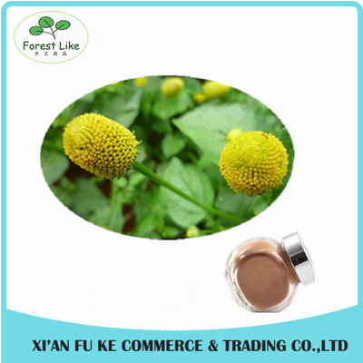 GMP Manufacturer Supplying High Quality Healthy for Hair Spilanthol 10:1 Acmella Oleracea Flower Extract supplier