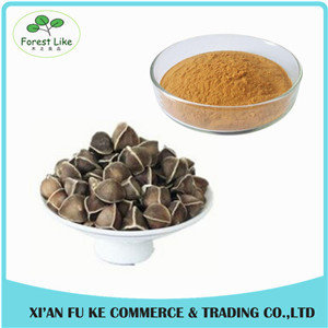 Factory Direct Supply Top Quality Used to Cure Liver Diseases Moringa Seed Extract 10:1 supplier