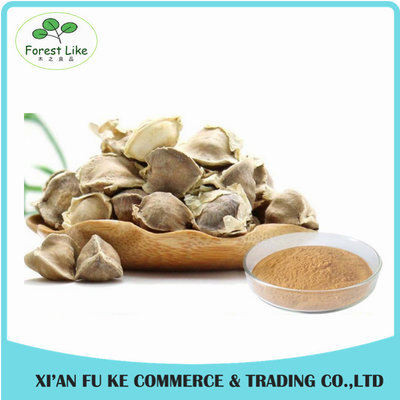Factory Direct Supply Top Quality Used to Cure Liver Diseases Moringa Seed Extract 10:1 supplier