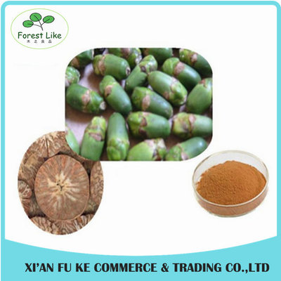 Best Selling Product Free Sample No Additives High Ratio Promote Decrease of Blood  Effect  Areca Nut Extract supplier