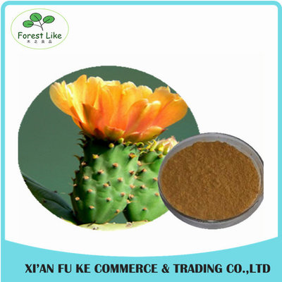 Phamaceutical Ingredient High Quality  Low Price Loss Weight Product Cactus Flower Extract supplier