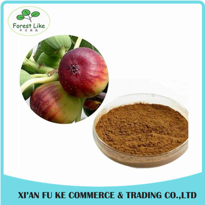 2017 New Product GMP Manufacture Supply Water-soluble Organic Fig Fruit Extract supplier