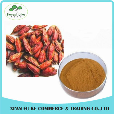 Reliable Manufacturer Supply Hot Products for Gardenia Jasminoides Ellis supplier