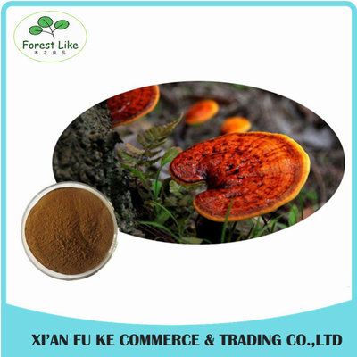 Anti-tumor Chinese Magical Herb Wild Lingzhi Shell-broken Spore Powder supplier