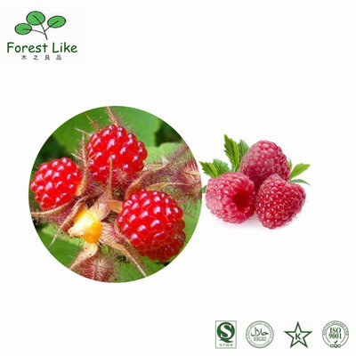 100% Natural Wild Raspberry Extract Natural Berries Juice Powder Free Sample supplier