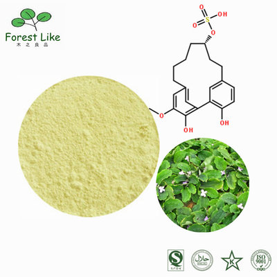 Hot Selling 98% Natural Kaempferol Powder Free Sample supplier