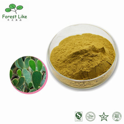 Factory Price Natural Cactus Extract for Medicine Free Sample supplier
