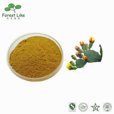 Factory Price Natural Cactus Extract for Medicine Free Sample supplier