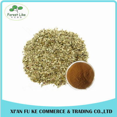 Best Selling Natural Yerba Mate Extract Polyphenol Tannin acid supplier