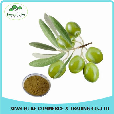 China Made Only Plant Extract Natural High Quality Olive Leaf Extract Powder supplier