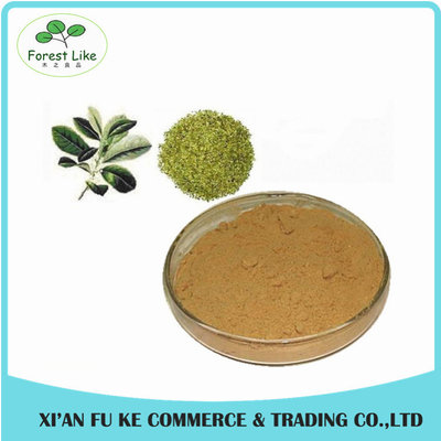 Best Selling Natural Yerba Mate Extract 25 % Polyphenol,20 % Tannin Acid supplier