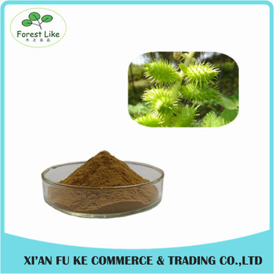 Low Price Siberian Cocklebur Fruit Extract Powder 5:1 10:1 supplier