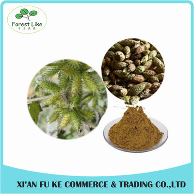 Low Price Siberian Cocklebur Fruit Extract Powder 5:1 10:1 supplier
