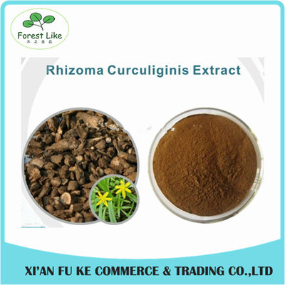 Natural Plant Powder Curcoligo Orchioides Extract 5:1 - 10:1 supplier