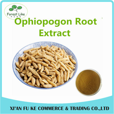 Chinese Herbal Medicine Ophiopogon Japonicus Extract Powder 5:1 - 20:1 supplier