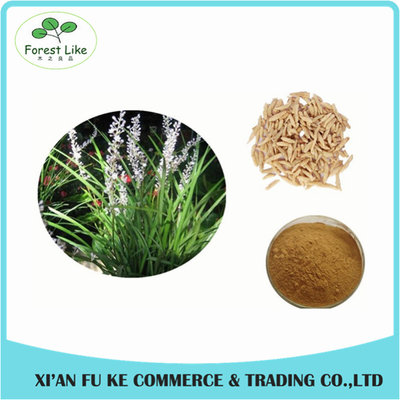 Chinese Herbal Medicine Ophiopogon Japonicus Extract Powder 5:1 - 20:1 supplier