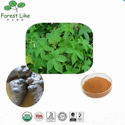 Dietary Supplement Nature Plant Brown Herbal Devils Claw Leaf Extract supplier