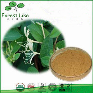Superior Quality Featured Product 5%-98%Chlorogenic Acid Honeysuckle Flower Extract supplier