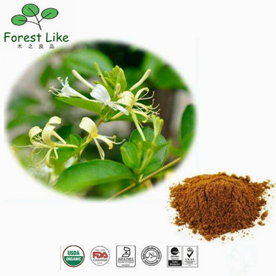 Superior Quality Featured Product 5%-98%Chlorogenic Acid Honeysuckle Flower Extract supplier