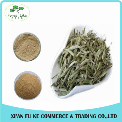 Health-care Product Instant Tea Powder Pure Natural White Tea Extract with Polyphenols supplier