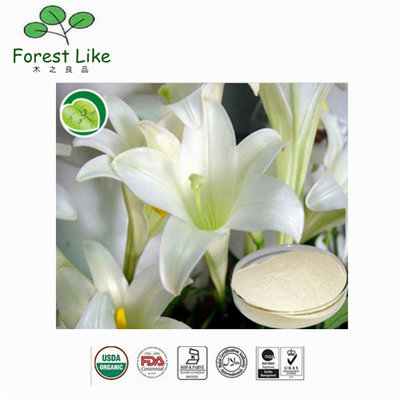 Pure Natural Lily Extract Powder 10:1 supplier