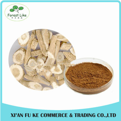 Wildginger Herb Indigowoad Root Extract / Radix Isatidis Extract 10:1 supplier
