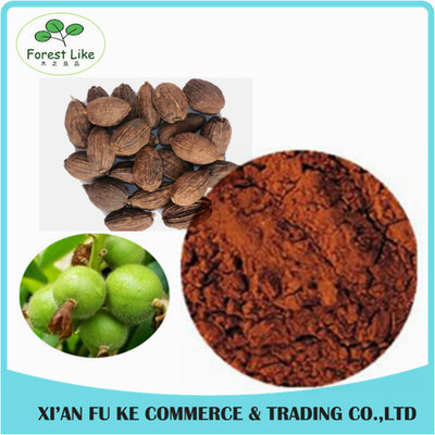 Tsaoko Amomum Fruit Extract / Fructus Tsaoko Extract Powder 4:1 - 20:1 supplier
