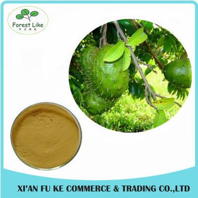 Top Quality Cancer Prevention Supplement Graviola Fruit Extract Powder 5:1 10:1 supplier