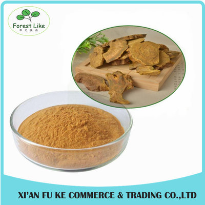 Traditional Chinese Herb Medicine Anti-tumor Product Dried Rhubarb Extract supplier