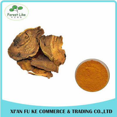 Traditional Chinese Herb Medicine Anti-tumor Product Dried Rhubarb Extract supplier