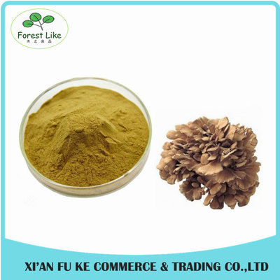 Shii-take Mushroom Extract 10% - 30% Lentinan Polysaccharides supplier