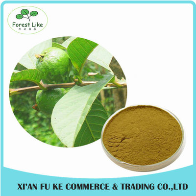 Health Care Product Reduce Fatigue Guava Leaf Extract with Polyphenols supplier