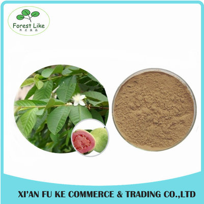 Health Care Product Reduce Fatigue Guava Leaf Extract with Polyphenols supplier