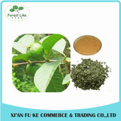 Health Care Product Reduce Fatigue Guava Leaf Extract with Polyphenols supplier