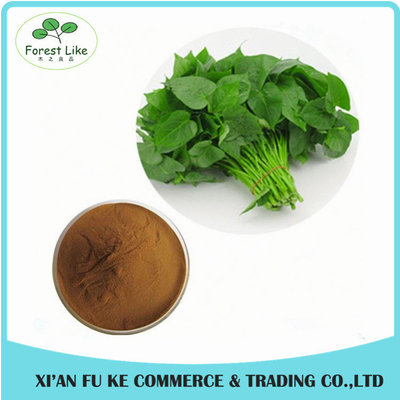 Organic Sweet Potato Leaf Extract Powder 10:1 for improve Hunman Immunity supplier