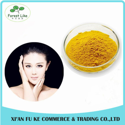 Cosmetic Raw Materials Coenzyme Q10 CAS NO:303-98-0 supplier