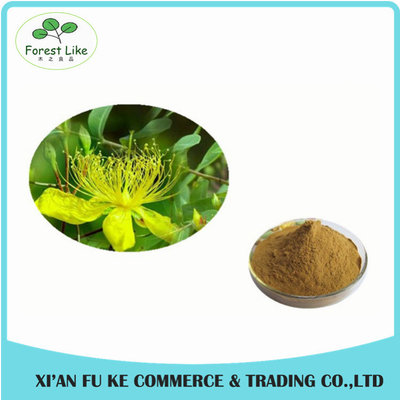 Saint John's Wort / Hypericum Perforatum Extract Hypericin supplier