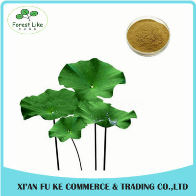 Chinese Herb Medicine Loss Weight Product Lotus Leaf Extract Powder supplier