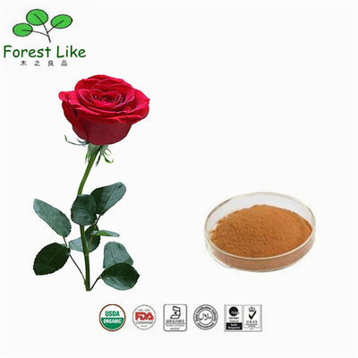 Skin Care Organic Plant Extract Rose Flower Extract supplier