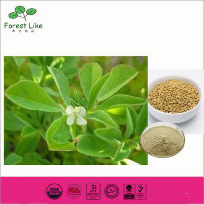 Fenugreek Seed / Trigonella Foenum-Graecum Extract Powder 50% Saponins supplier