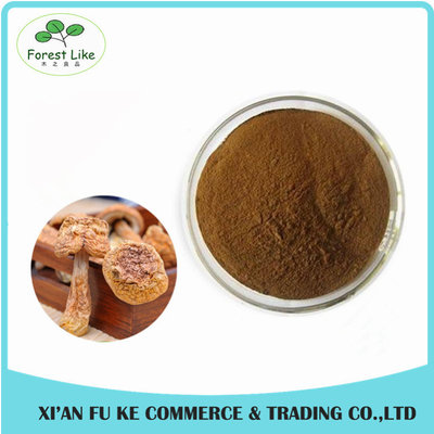 Agaricus Blazei Muril Extract Powder Polysaccharides 10% - 50% supplier