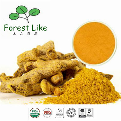 Herbal Turmeric Root Extract Powder 95 % Turmeric Curcumin supplier