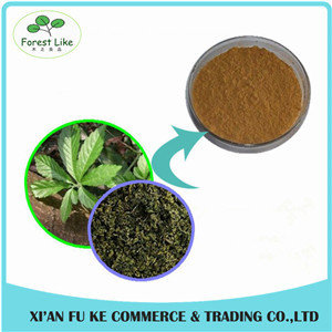 Wholesale Natural Saponins 20 %- 98 % Gynostemma Extract for Lower Blood Pressure and Lipid supplier