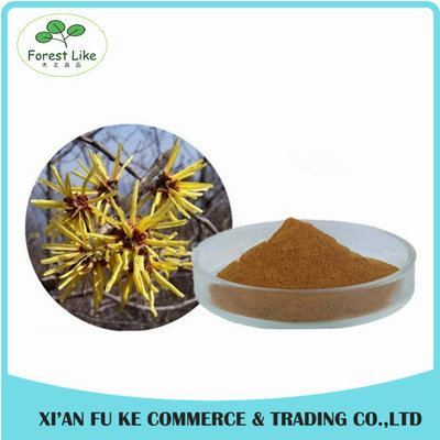 Superior Quality Featured Product 5%-98%Chlorogenic Acid Honeysuckle Flower Extract supplier