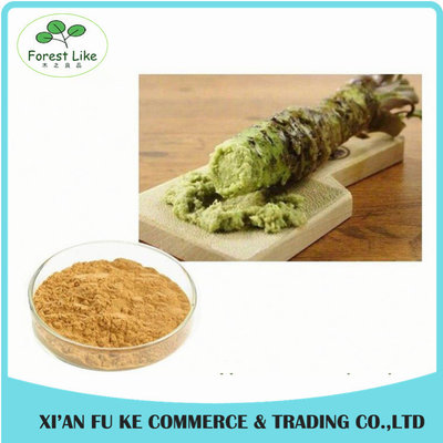 Hot Sale Free Sample Fresh Horseradish Extract Powder supplier