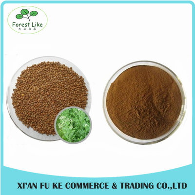 Chinese Herbal Medicine Loss Weight Product Radish Seed Extract supplier