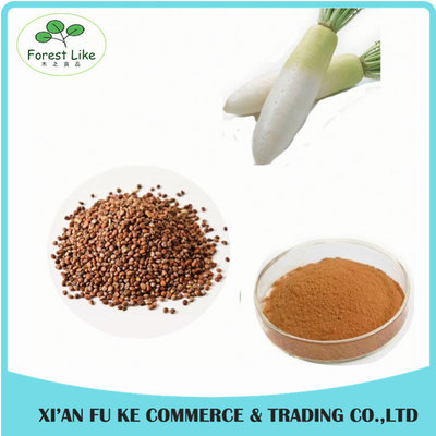Chinese Herbal Medicine Loss Weight Product Radish Seed Extract supplier