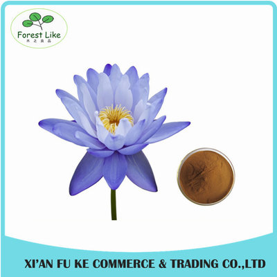 China Manufacturer Blue Lotus Extract/Dried Blue Lotus Flower Extract/GMP Blue Lotus Powder supplier