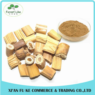 High Quality Hydrangea Root Extract Powder 5:1 - 20:1 supplier