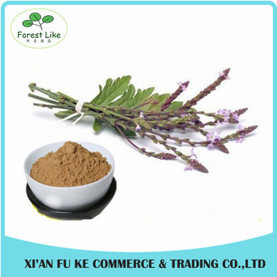 Competitive Price Natural Chinese Herb European Verbena Extract /Blue Vervain supplier